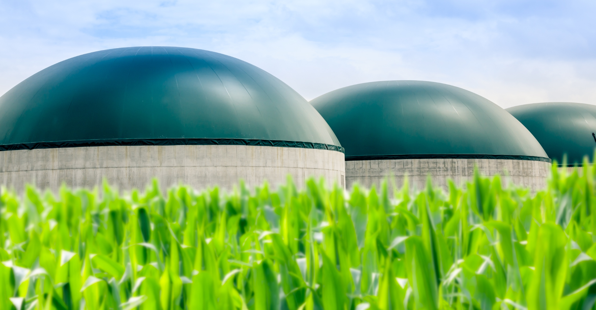 Innovationsworkshop - Biogas på Bornholm - Business Center Bornholm